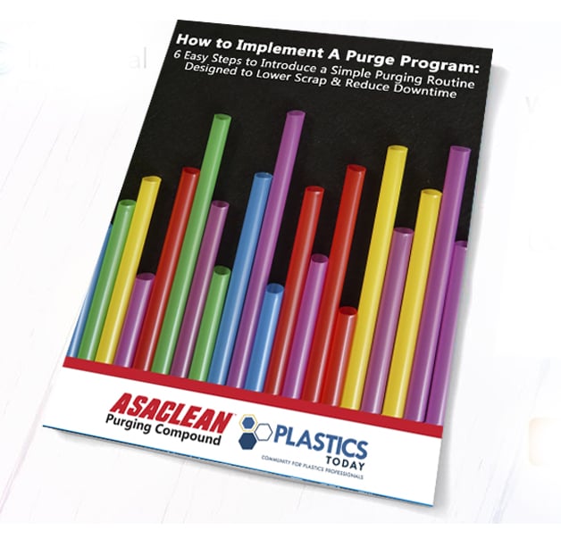 White Paper-How to Implement a Purge Program